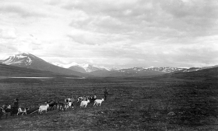 Samiska normsystem och rättsuppfattningar - Silvermuseet